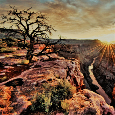 About - Luke Rex - Faithlife