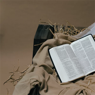 About - Finding God Through His Word - Faithlife